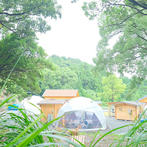 ドッググランピングSUIYAとは - ようこそドッグランピングSUIYAへ