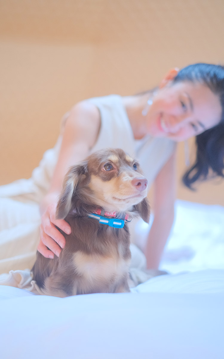 ドッググランピングSUIYAとは - ようこそドッグランピングSUIYAへ