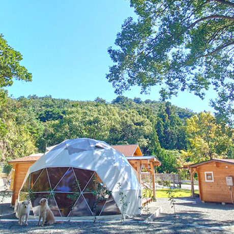 アクセスマップ/access_map - ようこそドッグランピングSUIYAへ